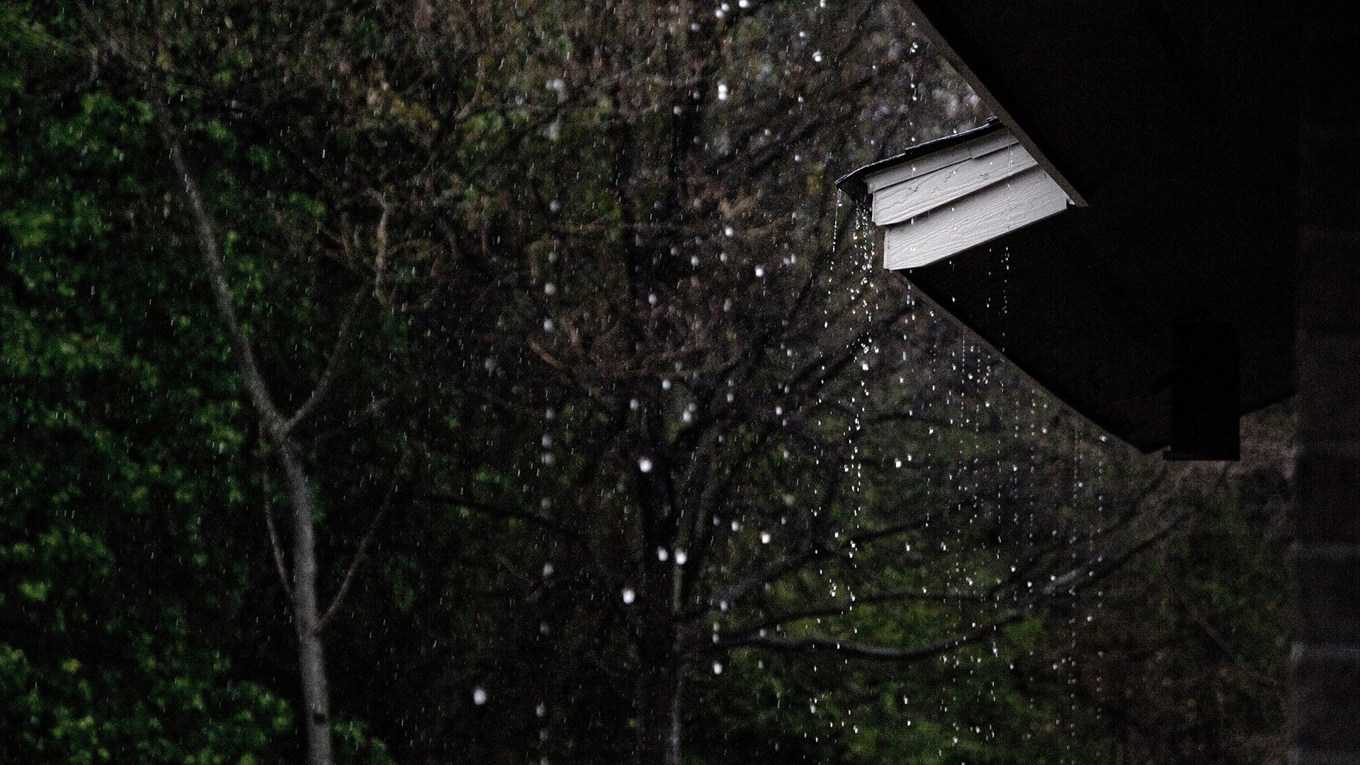 Heavy Rain? Be on the Lookout for Heavy Damage - Bitner Henry Insurance ...